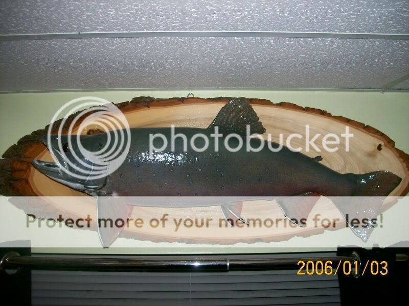 View topic - Targeting Splake? | Canadian Canoe Routes