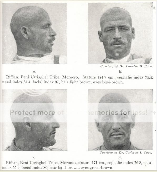 Berberid a sub-type of Nordic