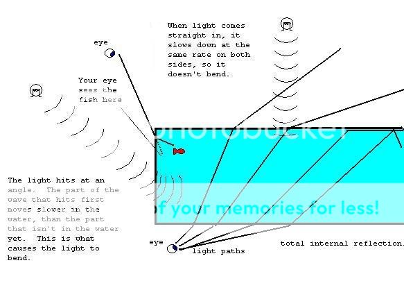 Physics of the fish tank | AquariaCentral.com